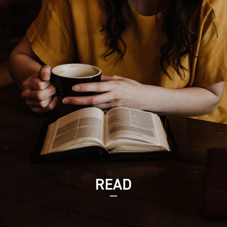 Isolation Inspiration: What to Read - Absolute Museum & Gallery Products