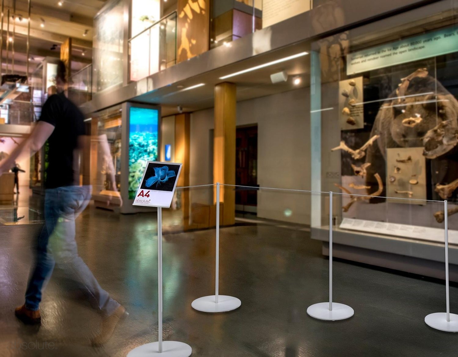 Essentials Freestanding Barrier (900mm) - Absolute Museum & Gallery ...