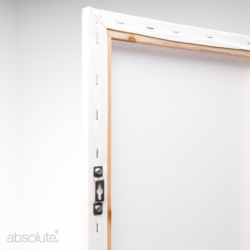 Ryman Hanger (Secure Set) - Art Hanging System - Absolute Museum ...